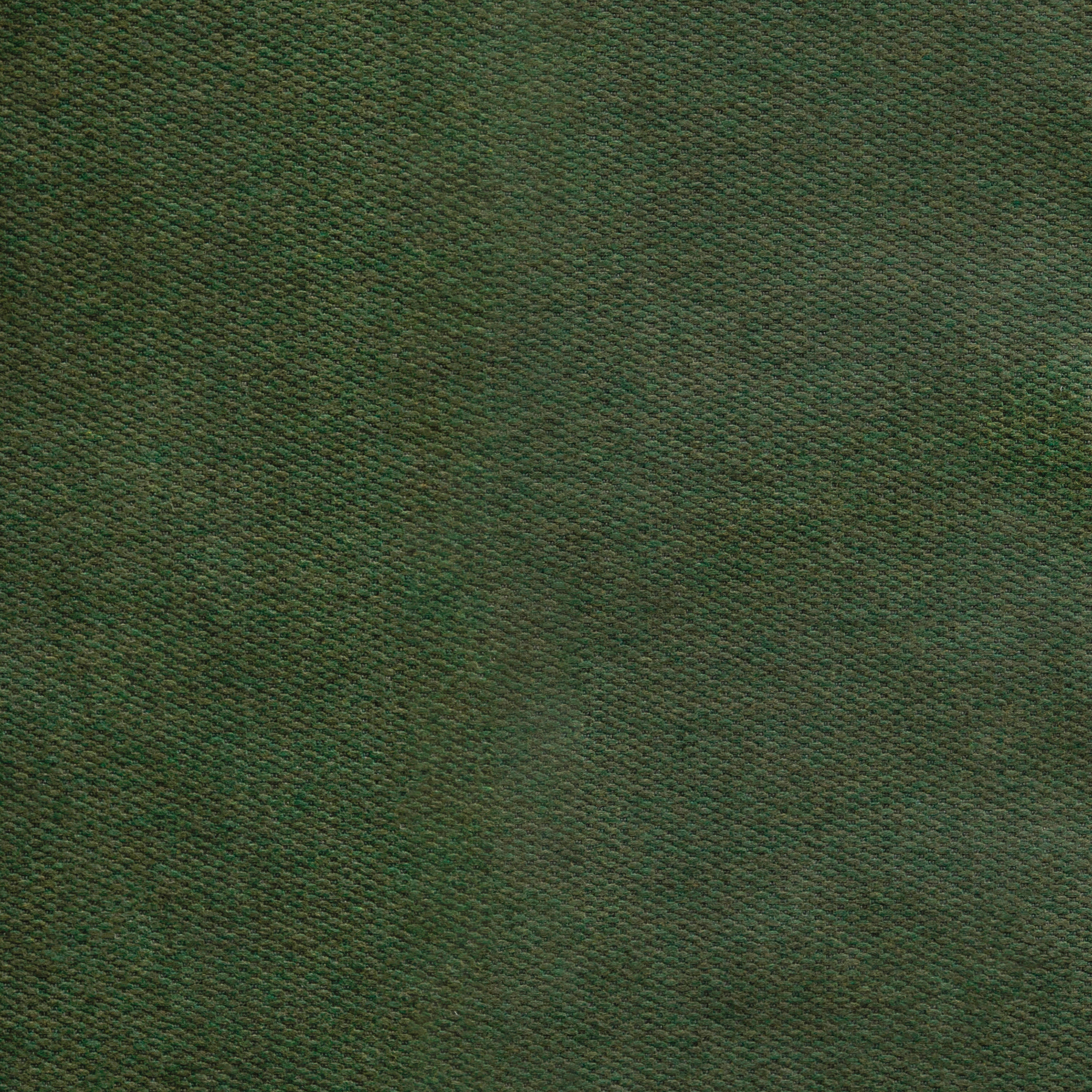 Harrison Forest